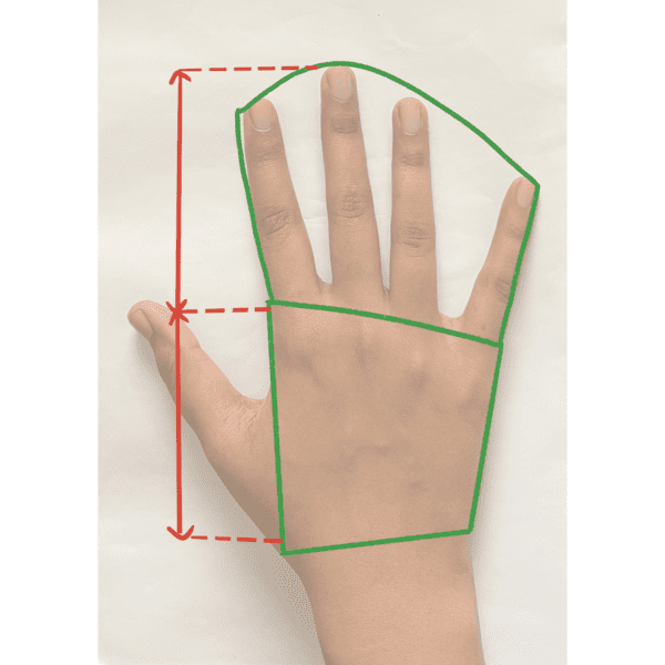 How to draw a cartoon hand – Draw Cartoon Style!