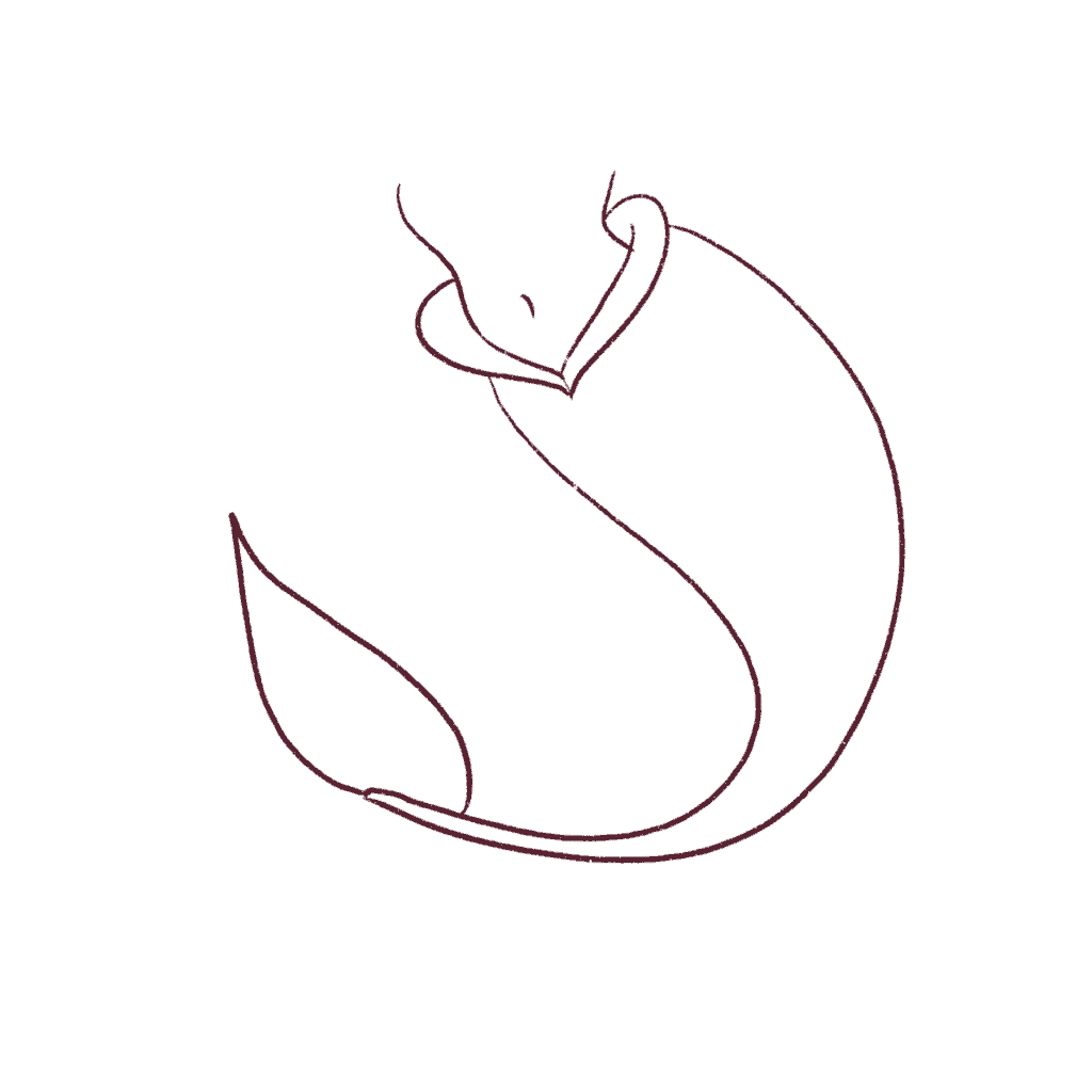 How to draw a mermaid tail – Draw Cartoon Style!