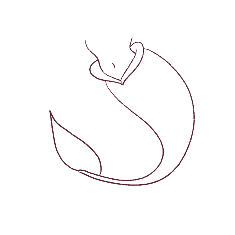 How to draw a mermaid tail – Draw Cartoon Style!
