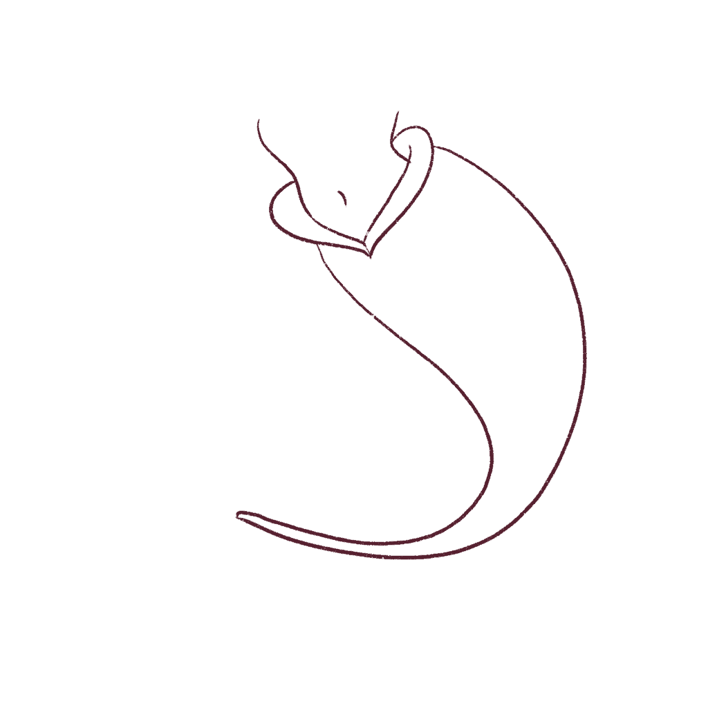 How to draw a mermaid tail – Draw Cartoon Style!