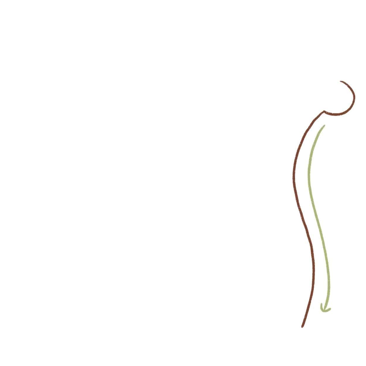 How to draw a long neck dinosaur – Draw Cartoon Style!