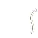 How to draw a long neck dinosaur – Draw Cartoon Style!