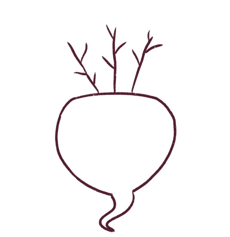 How to draw a beetroot – Draw Cartoon Style!