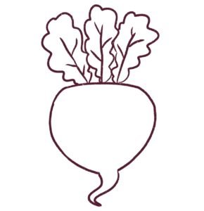 How to draw a beetroot – Draw Cartoon Style!