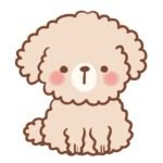 How to Draw a Dog with Curly Hair – Draw Cartoon Style!