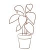 How to Draw a Simple House Plant – Draw Cartoon Style!