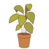 How to Draw a Simple House Plant – Draw Cartoon Style!