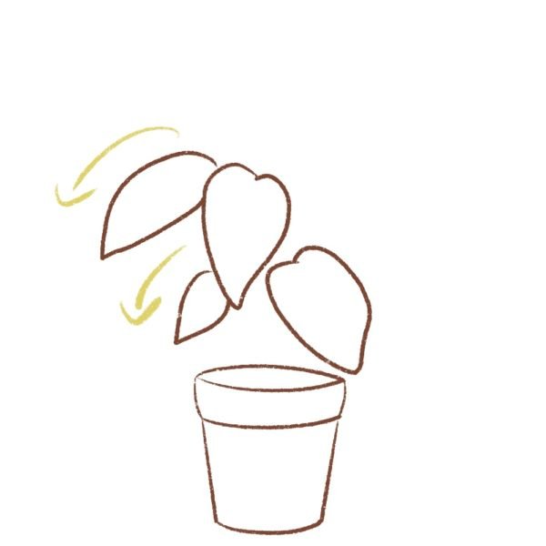 How to Draw a Simple House Plant – Draw Cartoon Style!