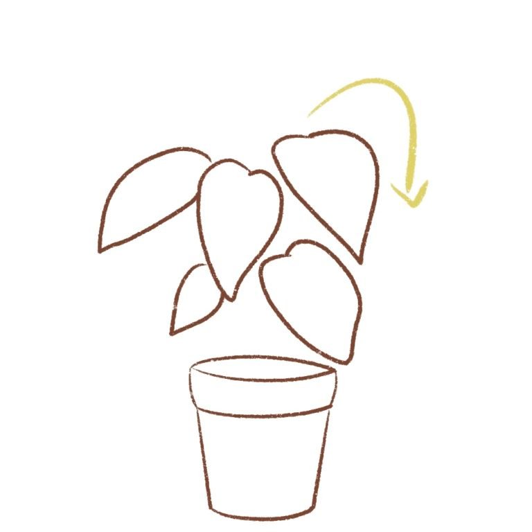 How to Draw a Simple House Plant – Draw Cartoon Style!