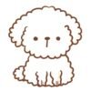 How to Draw a Dog with Curly Hair – Draw Cartoon Style!