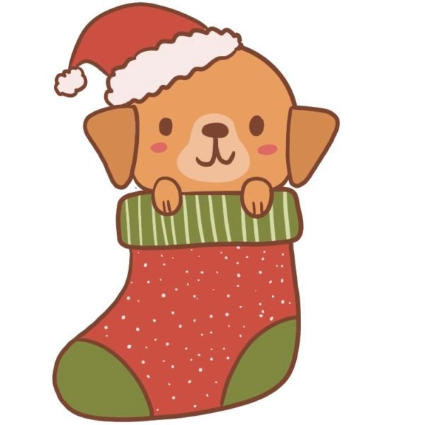 How to Draw a Dog in a Christmas Stocking – Draw Cartoon Style!