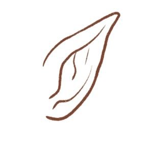 How to Draw Anime Elf Ears – Draw Cartoon Style!