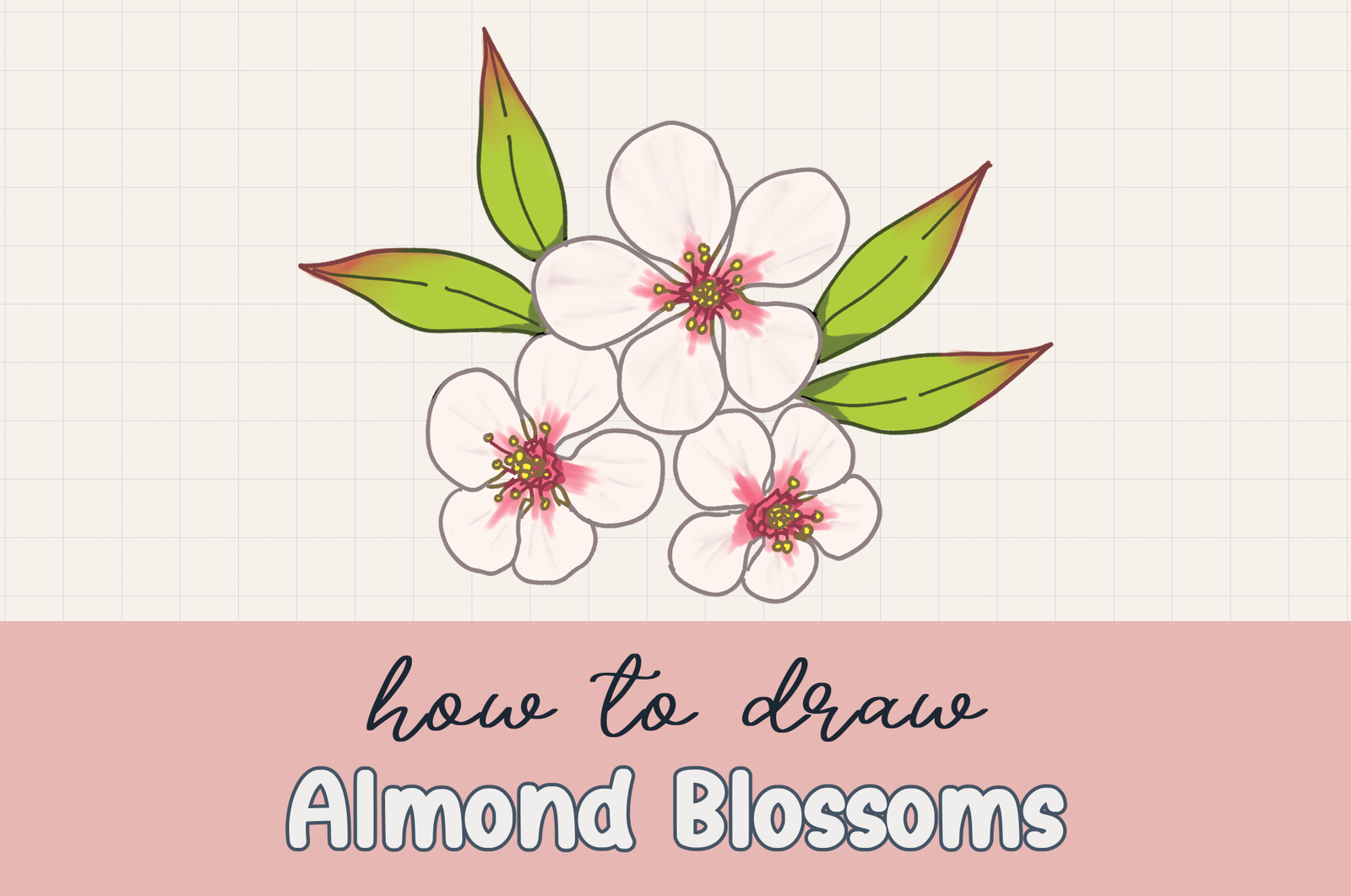 Draw Along – Draw Cartoon Style!