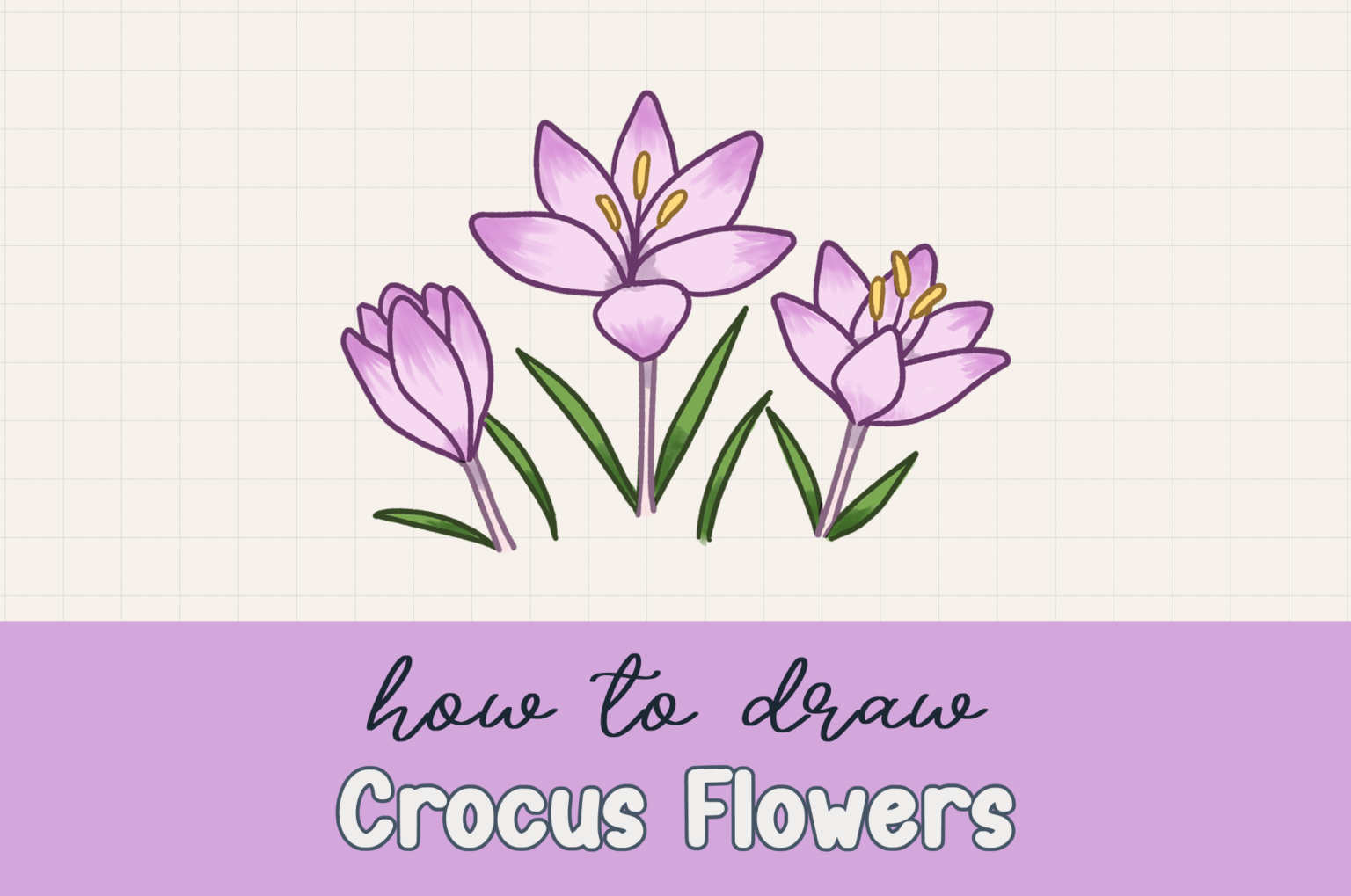 How to Draw Crocus Flowers – Draw Cartoon Style!