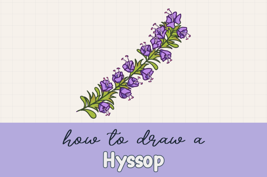 Draw Along – Draw Cartoon Style!