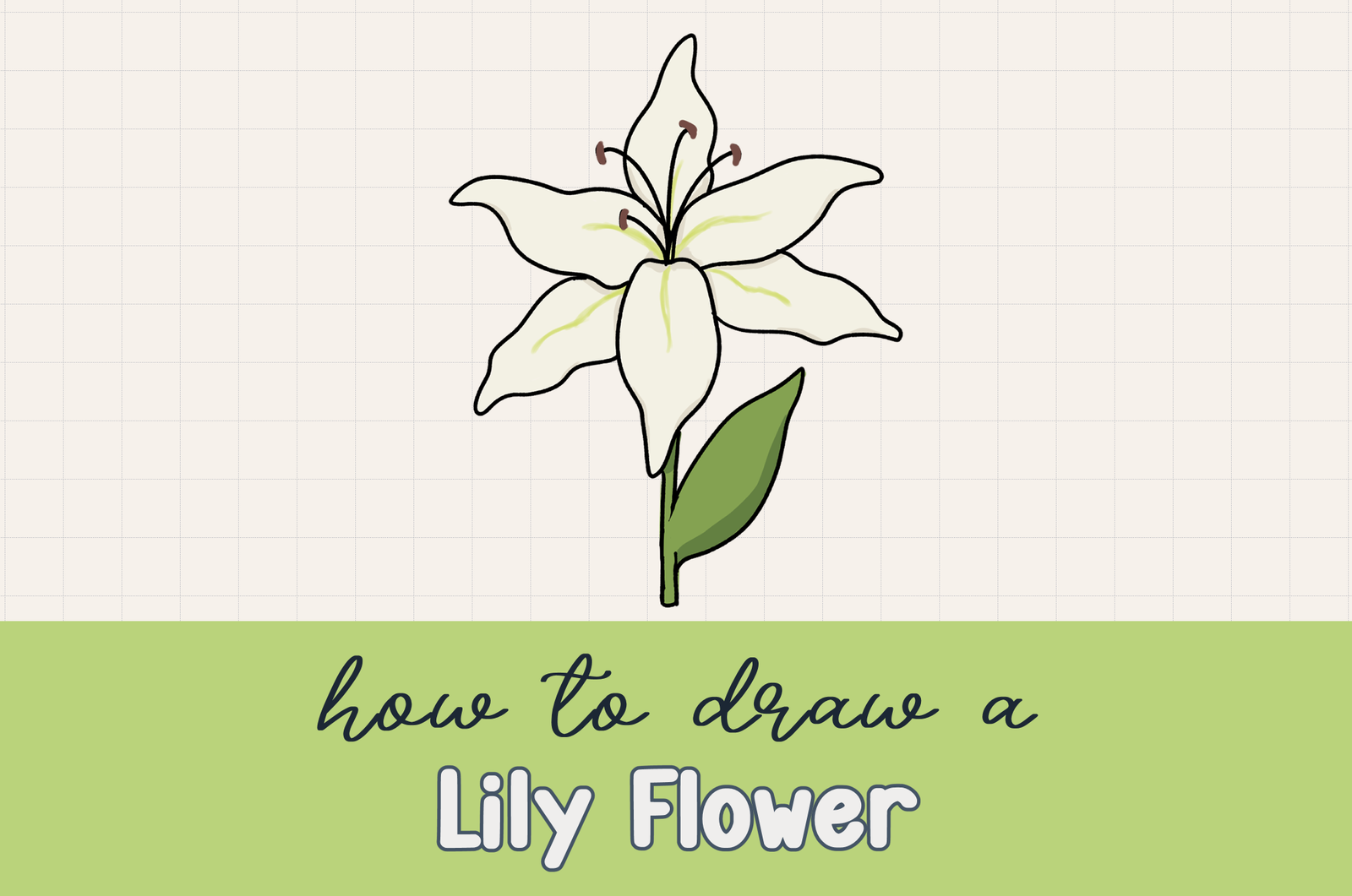 How to Draw a Lily Flower – Draw Cartoon Style!